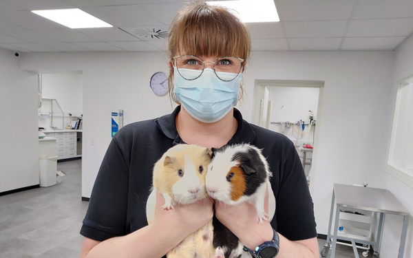 Kaniner og marsvin | Silkeborg Dyrehospital